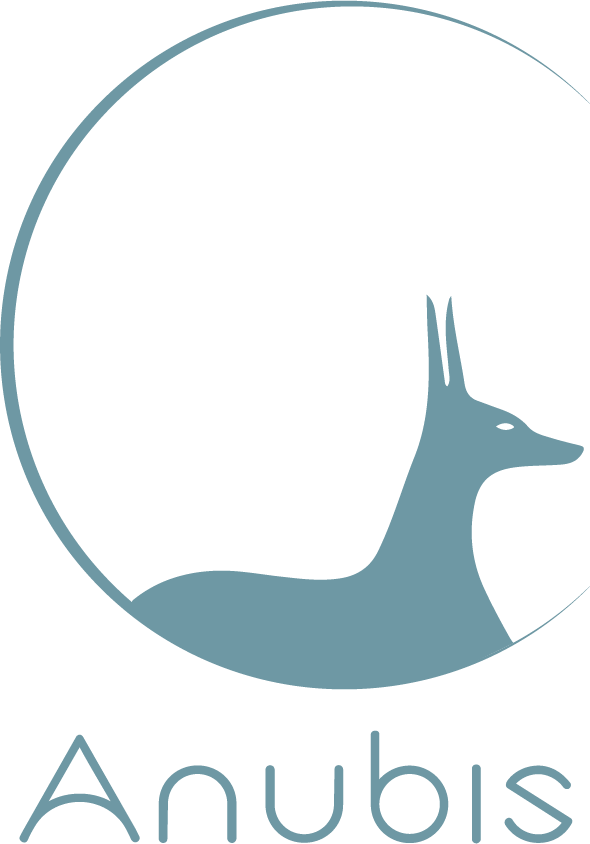 Rapatriement international | New Jetpack Site